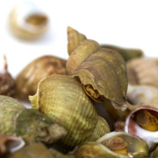 Weird French Food: 12 Strangest Foods in France - France Travel Blog